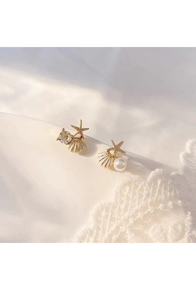 Dream Home Kadınlar Için 1 Çift Küpe (Yurt Dışından)