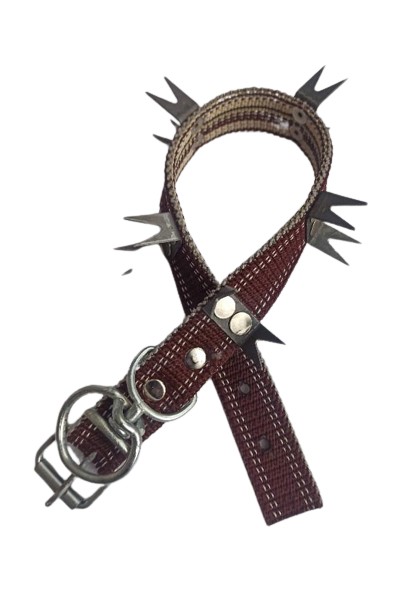 Kozaklı Küçük Irk Çift U Çivili Dikenli Korumalı Köpek Tasmasi Boy 50 cm En 3 cm