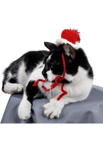 X-Perk Örme Kedi Şapkası