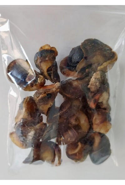 Black Diamond Madya Balık Yemi Çipura Tuzlu Suni Madya Black Diamond Madya Balık Yemi Çipura Tuzlu Suni Madya