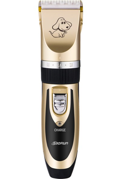 Beauty Life Kilit ve Tırnak Dosya ile Profesyonel Pet Köpek Tırnak (Yurt Dışından)