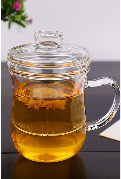 Gülruli Cam Yağlık Sirkelik 2'li