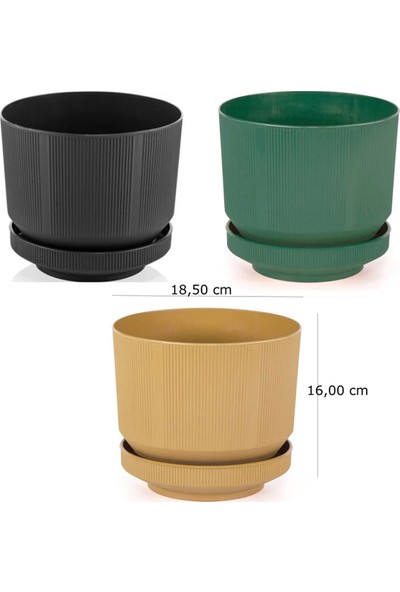 Minia Bahçe 3’lu Plastik Tabaklı Saksı 3ADET (Antrasit -Yeşil -Hardal) 3,3lt Minia Bahçe 3’lu Plastik Tabaklı Saksı 3ADET (Antrasit -Yeşil -Hardal) 3,3lt