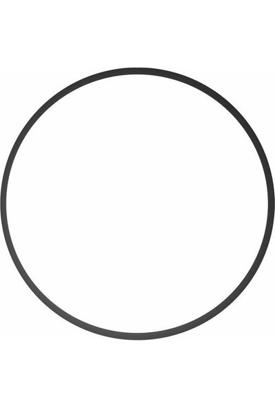 Ikelite Flaş Kablo O-Ring'i