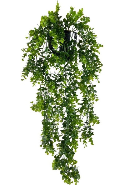 Nettenevime Yapay Çiçek Saksıda Sarkan Şimşir Okaliptus Yapay Sarmaşık 60CM Nettenevime Yapay Çiçek Saksıda Sarkan Şimşir Okaliptus Yapay Sarmaşık 60CM