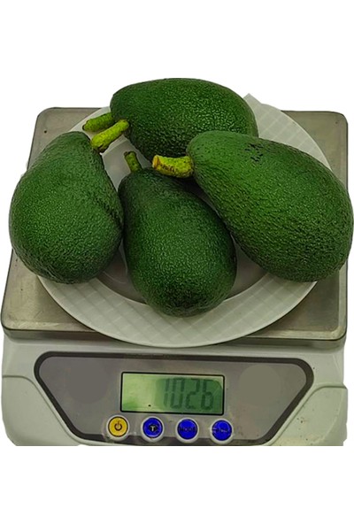 Avokado 1 Kg. - Iyi Tarım Uygulaması ile Üretilmiştir.