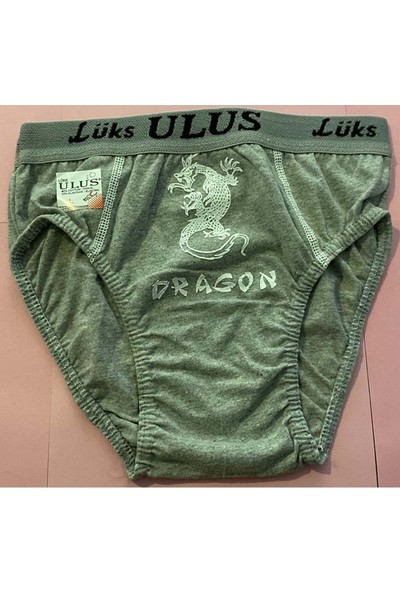 Ulus Dragon Erkek Slip Gri L