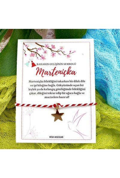 Wish Design Yıldız Marteniçka Bileklik