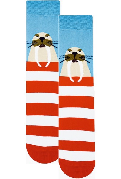 Ags Hemdem Hayvan Desenli Unisex Pamuk Çorap Yumuşak Soket