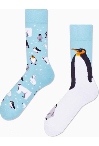 Ags Hemdem Hayvan Figürlü Sağ ve Sol Ayak Için Farklı Desende Pamuk Unisex Erkek Çorap Ags Hemdem Hayvan Figürlü Sağ ve Sol Ayak Için Farklı Desende Pamuk Unisex Erkek Çorap
