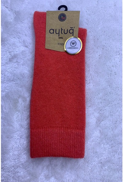 Aytuğ Kadın Koyun Yünü ( Lambswool) Düz Renk Çorap Aytuğ Kadın Koyun Yünü ( Lambswool) Düz Renk Çorap