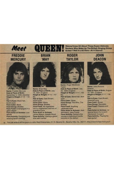 Posterica Sinir Sistemi Anatomik Poster - Kraft Poster - 35 x 50 cm Posterica Sinir Sistemi Anatomik Poster - Kraft Poster - 35 x 50 cm