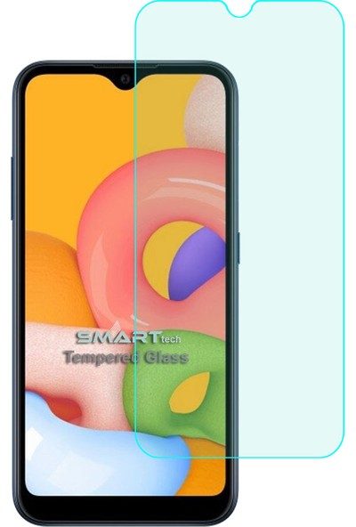 Smart Tech Samsung Galaxy A01 Temperli Kırılmaz Cam Ekran Koruyucu