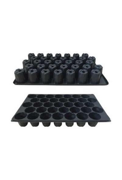 35 Gözlü Fide Yetiştirme Kabı Sera Viyolü