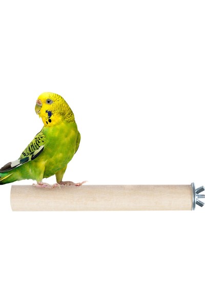 X-Perk Ağaç Tünek Kuş Tüneği Yuvarlak Boy 15 cm Çap 2 cm Kayın Ağacı X-Perk Ağaç Tünek Kuş Tüneği Yuvarlak Boy 15 cm Çap 2 cm Kayın Ağacı