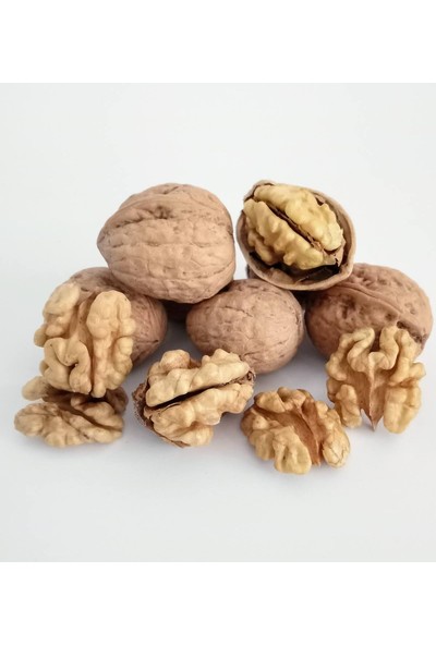 Hitit Organik Köy Ürünleri Hitit Köy Ürünleri Yerli Ceviz Içi Hitit Organik 1kg