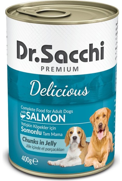Dr. Sacchi Dr.sacchi Konserve Köpek Somonlu 400GR Dr. Sacchi Dr.sacchi Konserve Köpek Somonlu 400GR