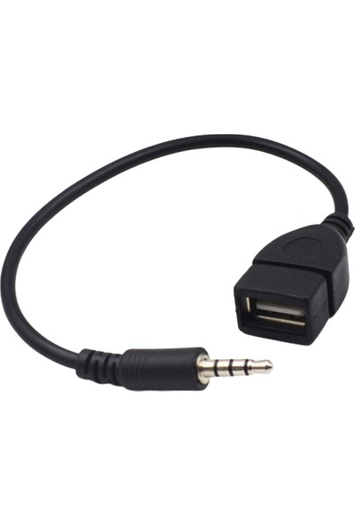 Charge Siyah 3.5mm 20CM Taşınabilir Adaptör Kablosu