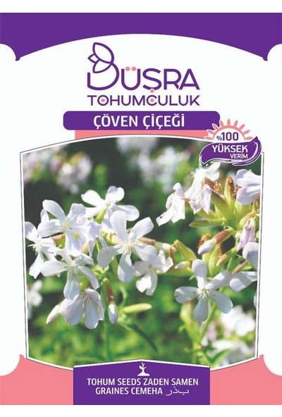 Çöven Çiçeği