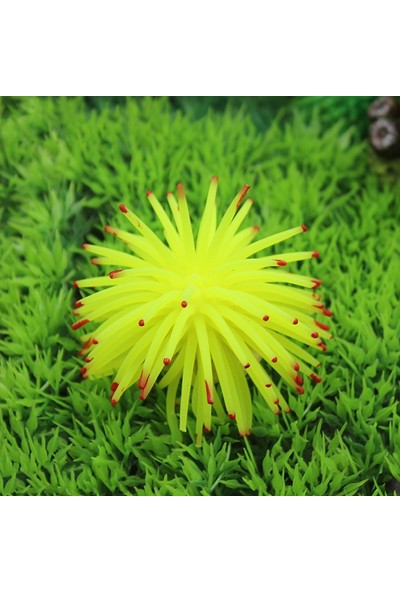 Generic 3 Adet Tpr Simülasyon Deniz Kestanesi Topu Mercan Sarı (Yurt Dışından) Generic 3 Adet Tpr Simülasyon Deniz Kestanesi Topu Mercan Sarı (Yurt Dışından)