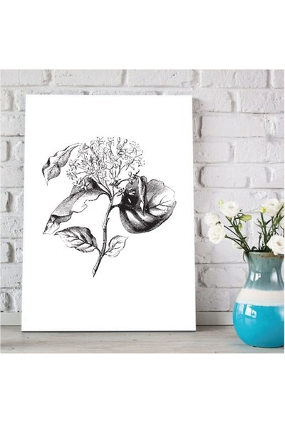 Piyop Siyah Çiçek Tasarımlı Kanvas Tablo