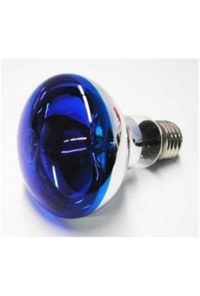 Gürbüz R80 60W E27 Mavi Ampul Sylvanıa Gürbüz R80 60W E27 Mavi Ampul Sylvanıa