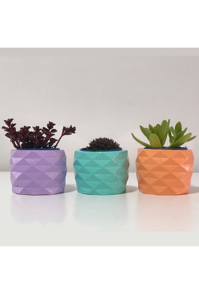 ZD Tasarım Atölyesi 3'lü Pastel Tonlarda Saksı Seti