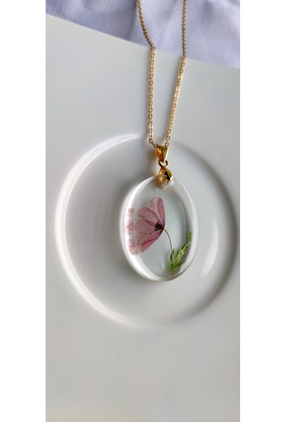 Berna Gelincik Güzeli