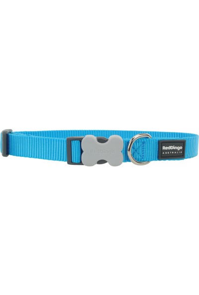 Reddingo Klasik Turkuaz Köpek Boyun Tasması
