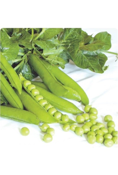 Arzuman Bezelye (Utrillo) 50 Gram