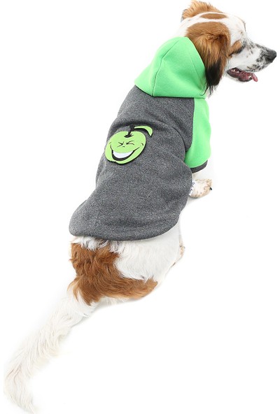 Dogi & Dog Apple Köpek Sweati