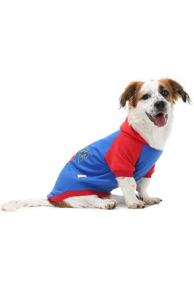 Dogi & Dog Süperdog Köpek Sweati Dogi & Dog Süperdog Köpek Sweati