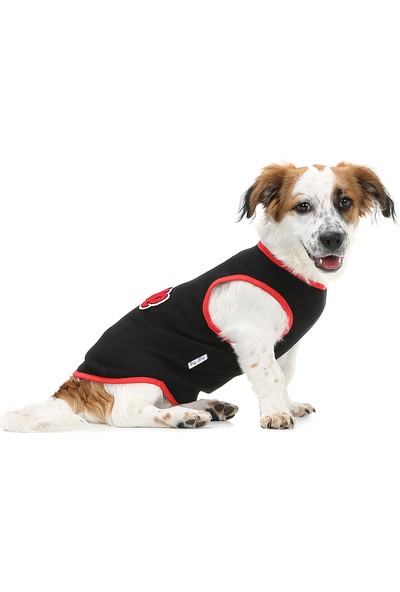 Dogi & Dog Love Köpek Atlet