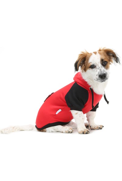 Dogi & Dog Pati Köpek Sweati Dogi & Dog Pati Köpek Sweati