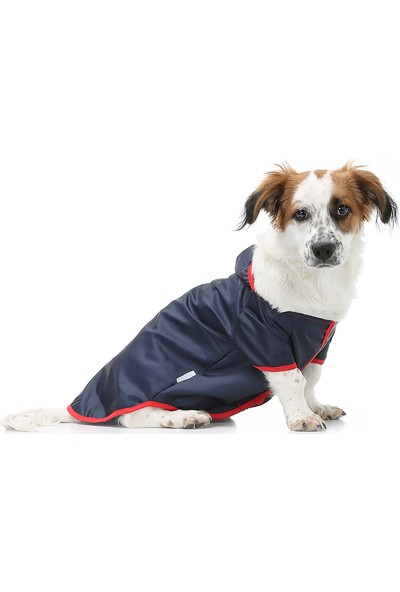 Dogi & Dog Navy Köpek Yağmurluğu Dogi & Dog Navy Köpek Yağmurluğu
