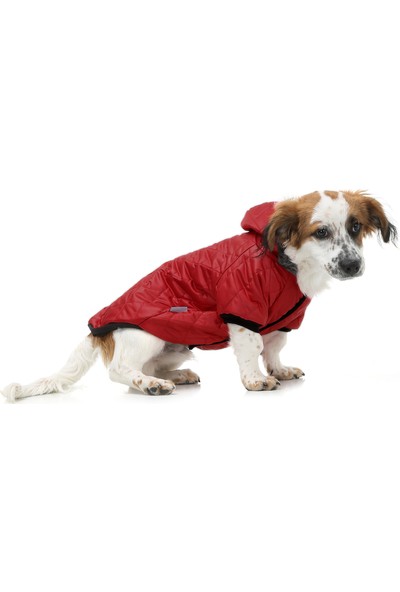 Dogi & Dog Kırmızı Puf Köpek Montu