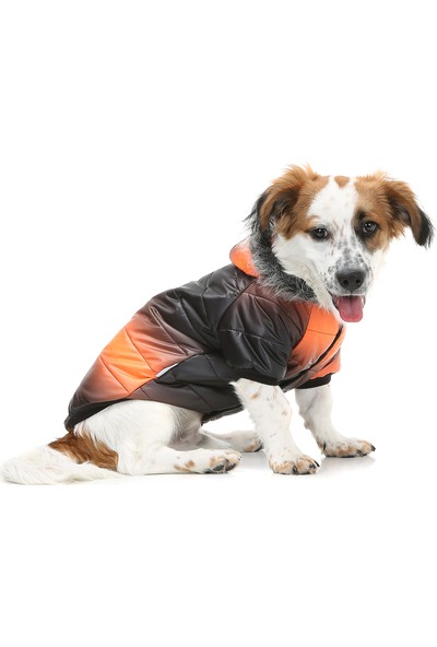 Dogi & Dog Oranj Black Puf Mont Köpek Yağmurluğu Dogi & Dog Oranj Black Puf Mont Köpek Yağmurluğu