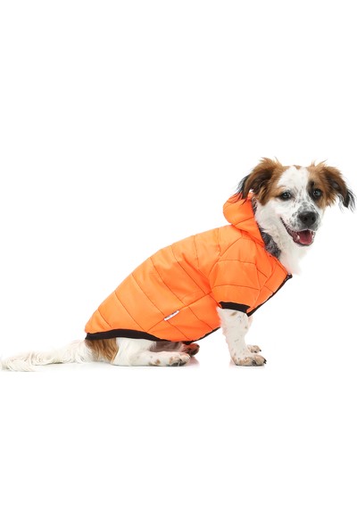 Dogi& Dog Oranj Puf Mont Köpek Yağmurluğu Dogi& Dog Oranj Puf Mont Köpek Yağmurluğu