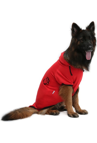 Dogi & Dog Pati Köpek Sweati Dogi & Dog Pati Köpek Sweati