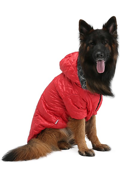 Dogi & Dog Kırmızı Puf Köpek Montu