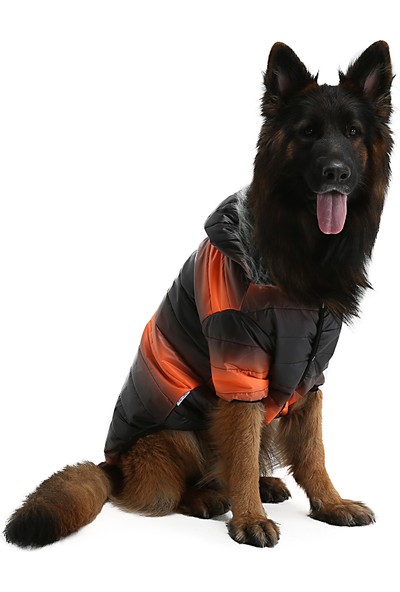 Dogi & Dog Oranj Black Puf Köpek Montu