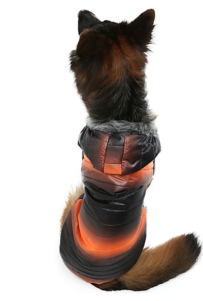 Dogi & Dog Oranj Black Puf Köpek Montu