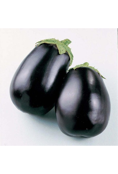 Arzuman Topan Patlıcan 10 Gram Arzuman Topan Patlıcan 10 Gram