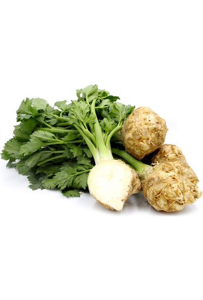 Arzuman Kök Kereviz 10 Gram Arzuman Kök Kereviz 10 Gram