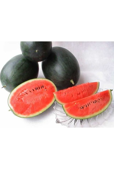 Arzuman Siyah Karpuz 10 Gram Arzuman Siyah Karpuz 10 Gram