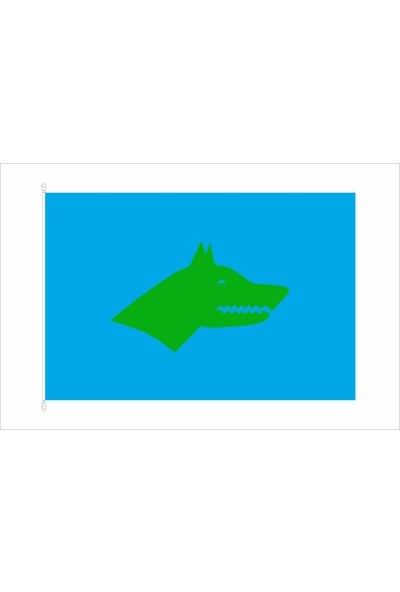 Gönder Bayrak Göktürk Bayrağı