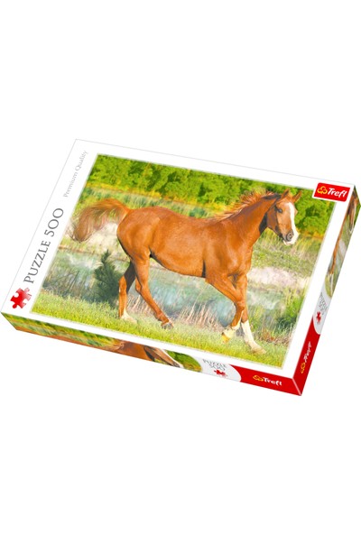 Trefl 500 The Beauty Of Gallop Trefl 500 The Beauty Of Gallop