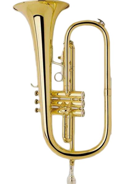 Bach FH200 Flugel Horn Bach FH200 Flugel Horn