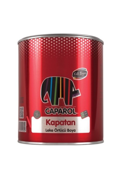 Filli Boya Kapatan 2,5 Lt