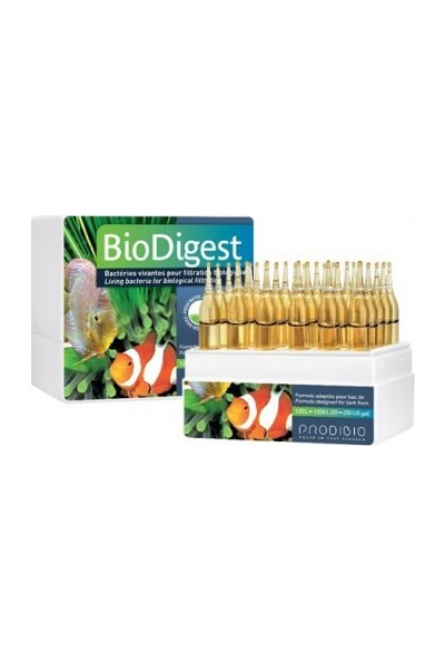 Prodibio BioDigest 12 Ampul